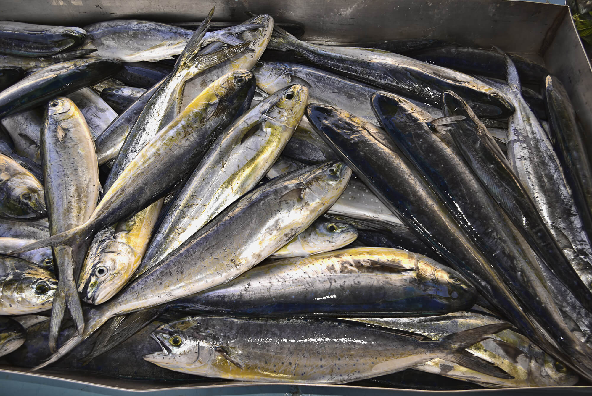 What to do in Malta & Gozo – Leisure Gozo Shopping